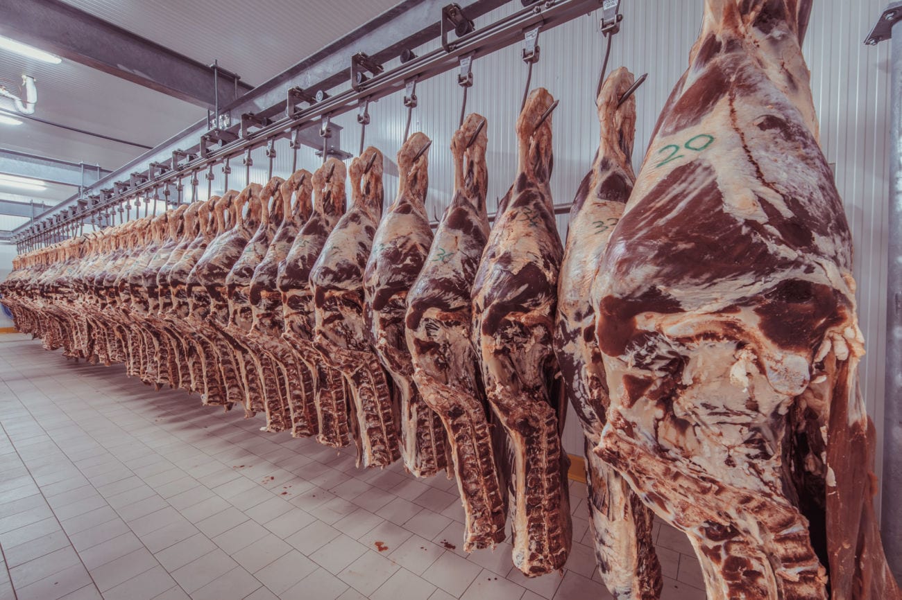 Abattoir Worker Apprenticeship Standard