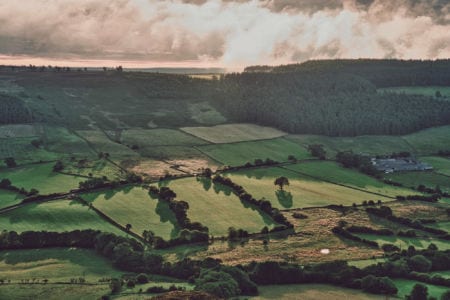 Countryside Ranger Apprenticeship Standard
