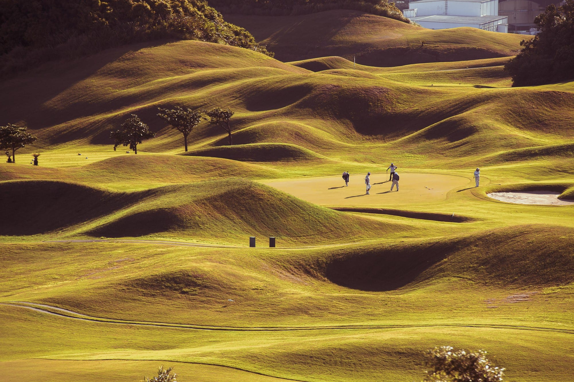 Golf Course Manager Apprenticeship Standard